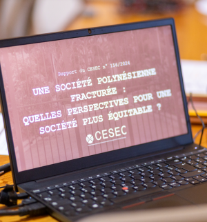 Accueil | CESEC